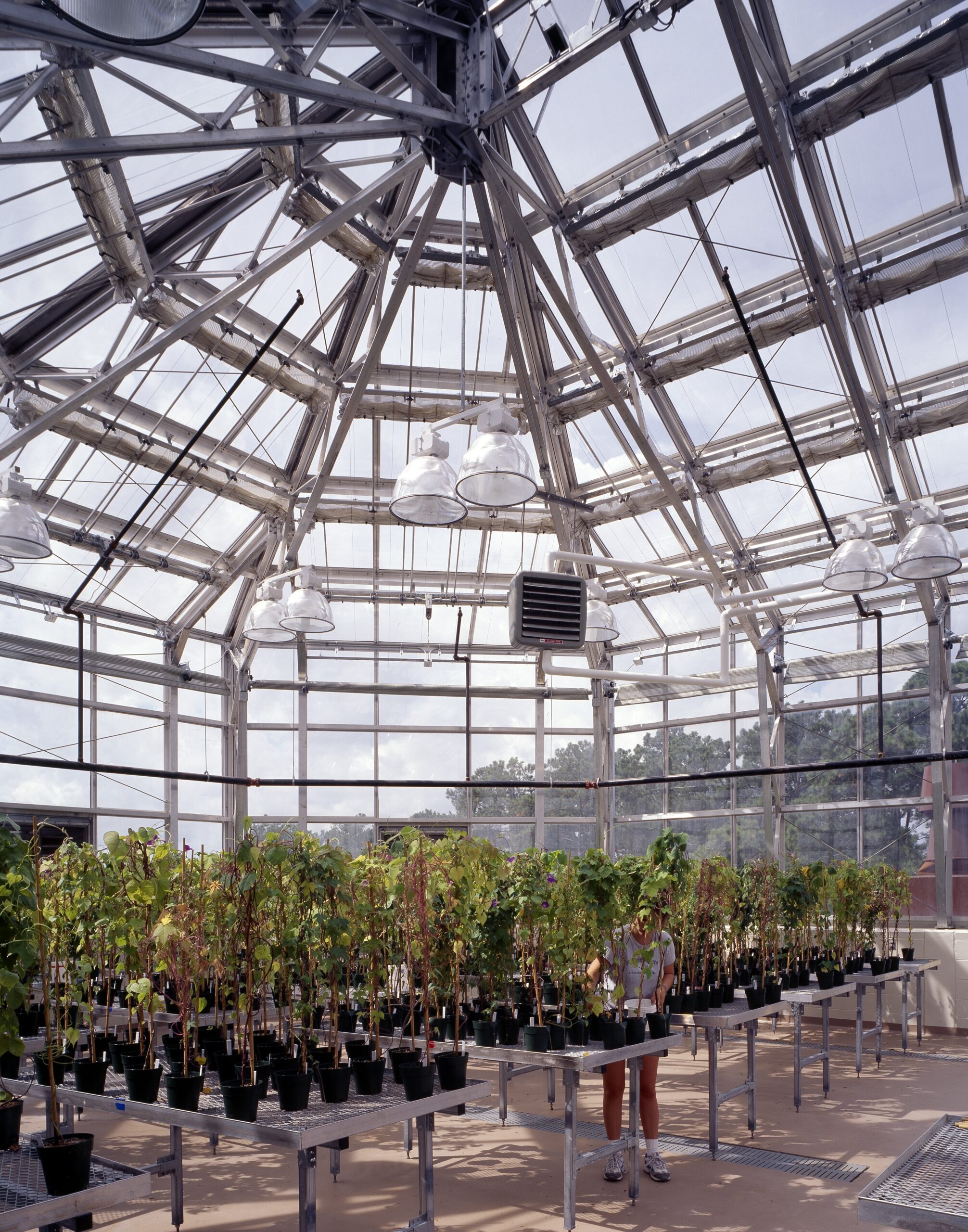 SELU Biology Building - Architecure Project in Hammond, LA